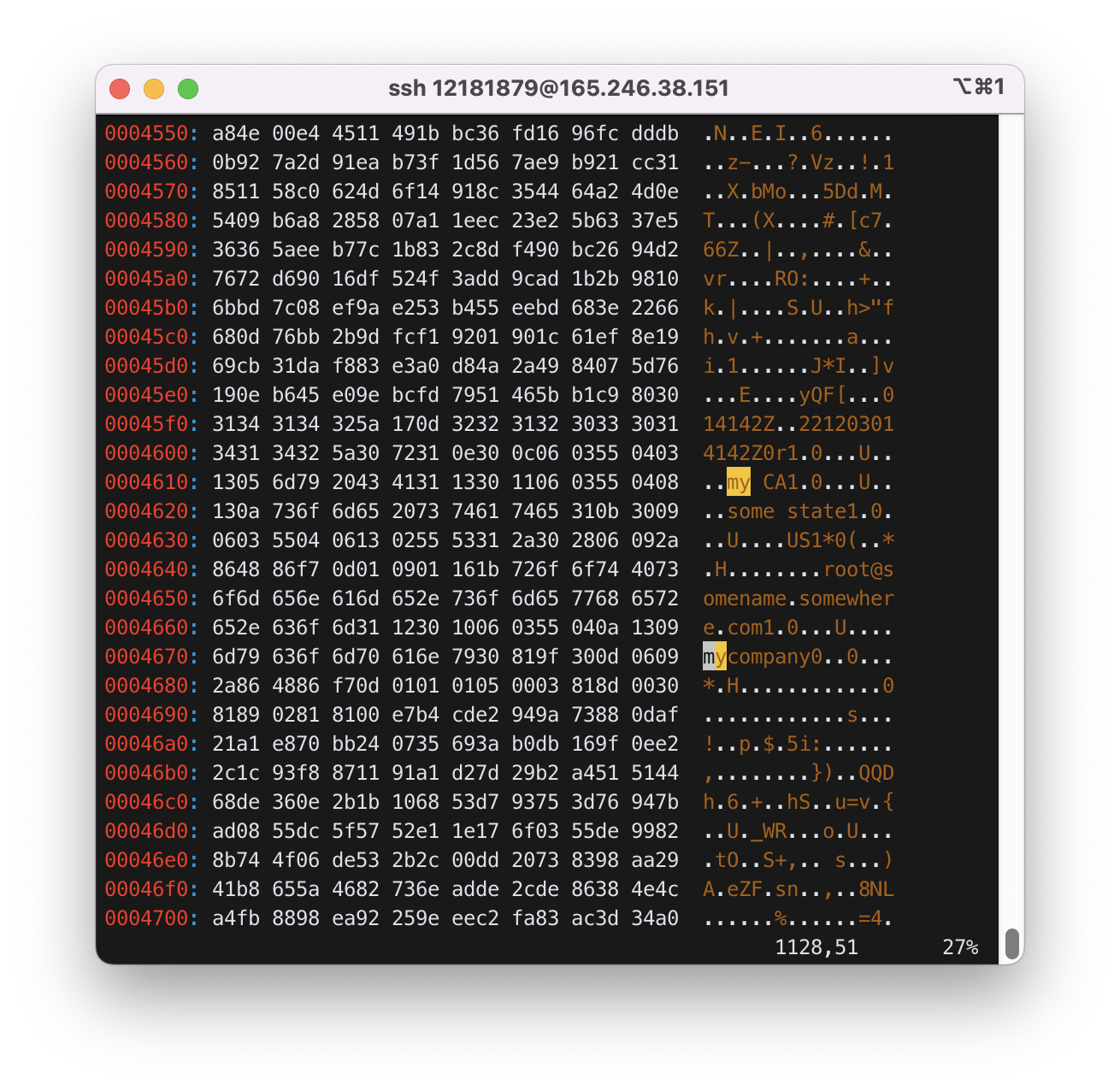 Heartbeat | Computer-Science